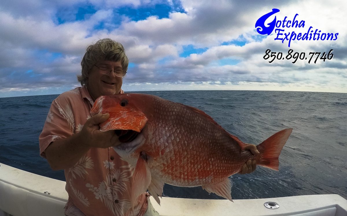 OFFSHORE FISHING Archives - Gotcha Expeditions