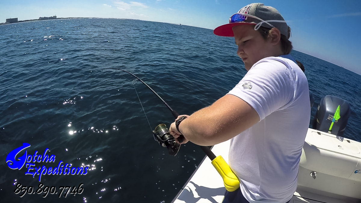 INSHORE FISHING Archives - Gotcha Expeditions