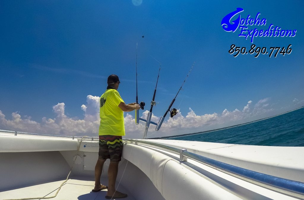 INSHORE FISHING Archives - Gotcha Expeditions